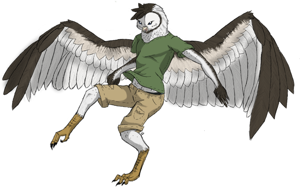 Download Drawn Furry Male Angel - Owl Furry Male - Full Size PNG Image ...