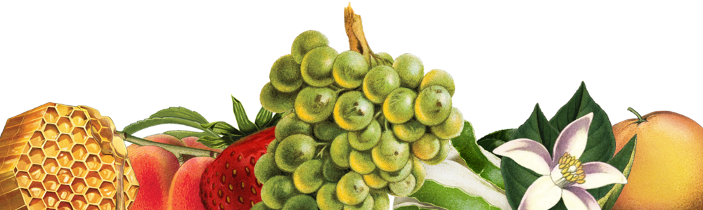 Download Footer Artwork - Food - V002 - - Full Size PNG Image - PNGkit