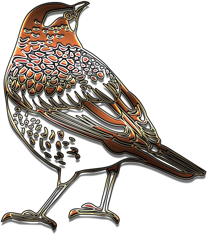 Download Outline Bird Beautiful - Outline Of Starling - Full Size PNG ...