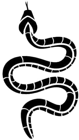 Download Transparent Snake Tattoo Png Free Download - Mambas - PNGkit
