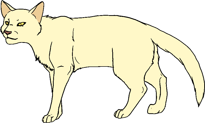 Download Shadowclan By Twistedfoot On Deviantart Png Freeuse ...