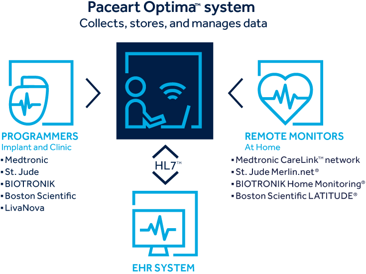 Download Paceart Optima Ecosystem Graphics - Graphic Design - Full Size ...