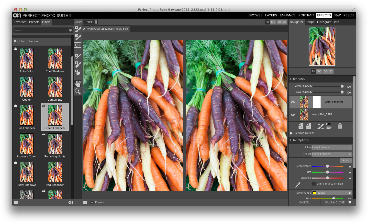 Download Green Enhancer - Color - Full Size PNG Image - PNGkit