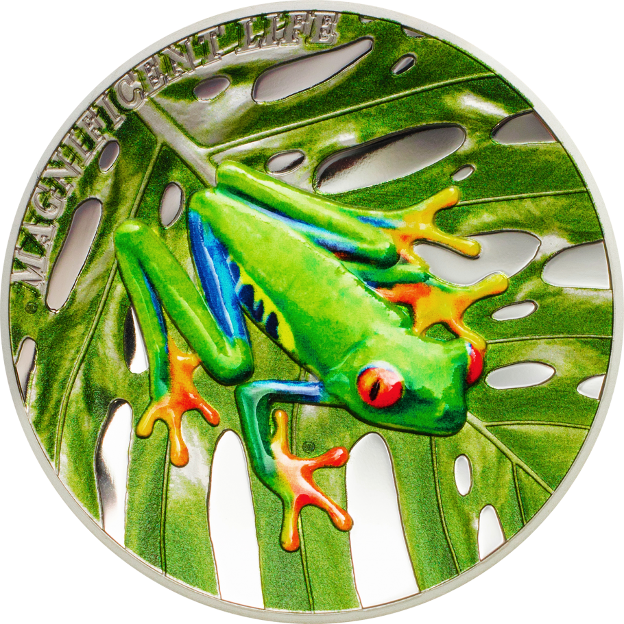 Download Tree Frog - Silver - Full Size PNG Image - PNGkit