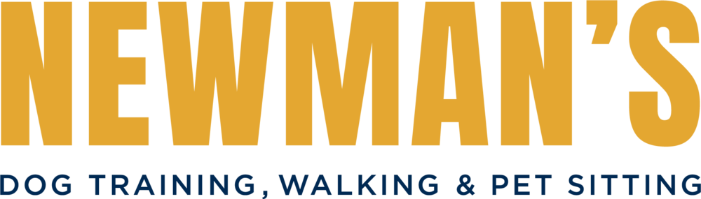 Download Ndt Just Words - Malcolm Smith Motorsports Logo - Full Size ...