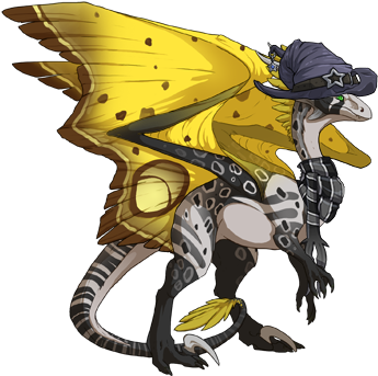 Download Which Eye Cute Eyes Please - Dragon Age - Full Size PNG Image ...