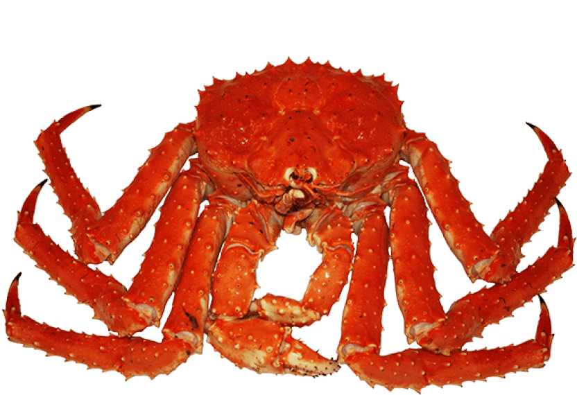 Download Free Png Crab Png Images Transparent - Crab Cooked Transparent ...