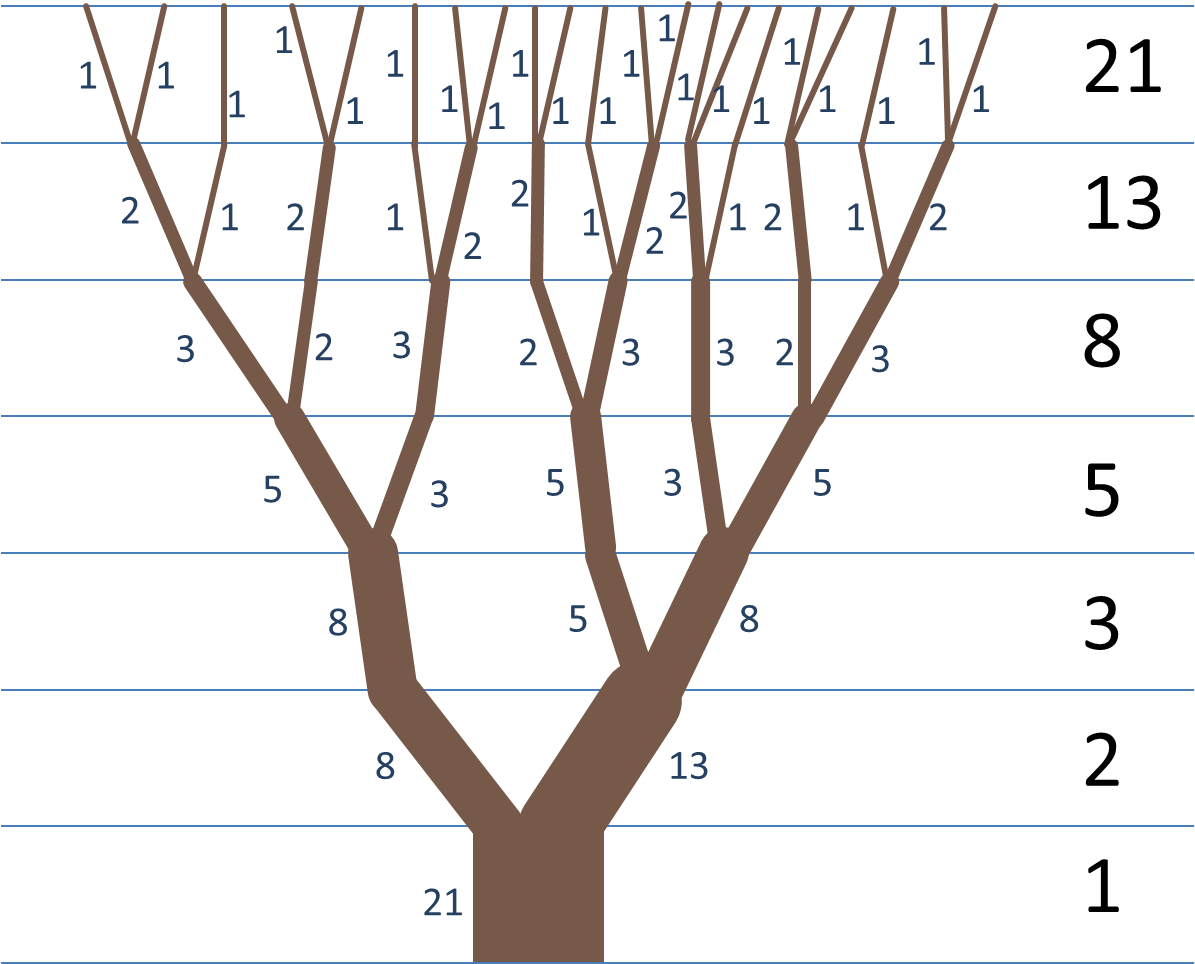 Download Fibonacci Sequence And Fractals - Full Size PNG Image - PNGkit