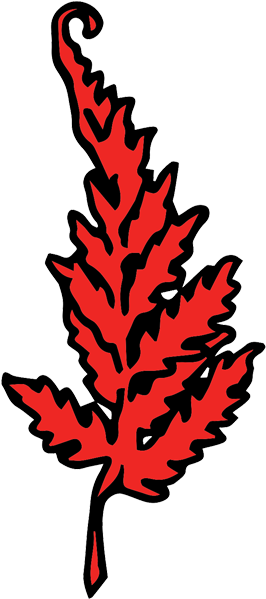 Download Our Menus - What's A Red Fern Look Like - Full Size PNG Image ...