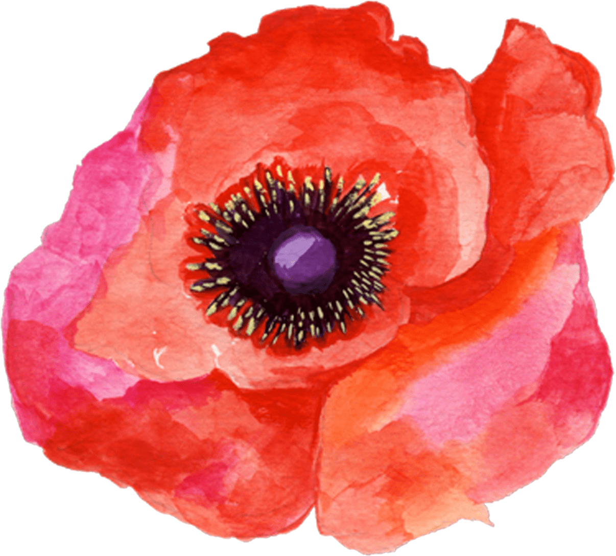 Download Transparent Red - PNGkit