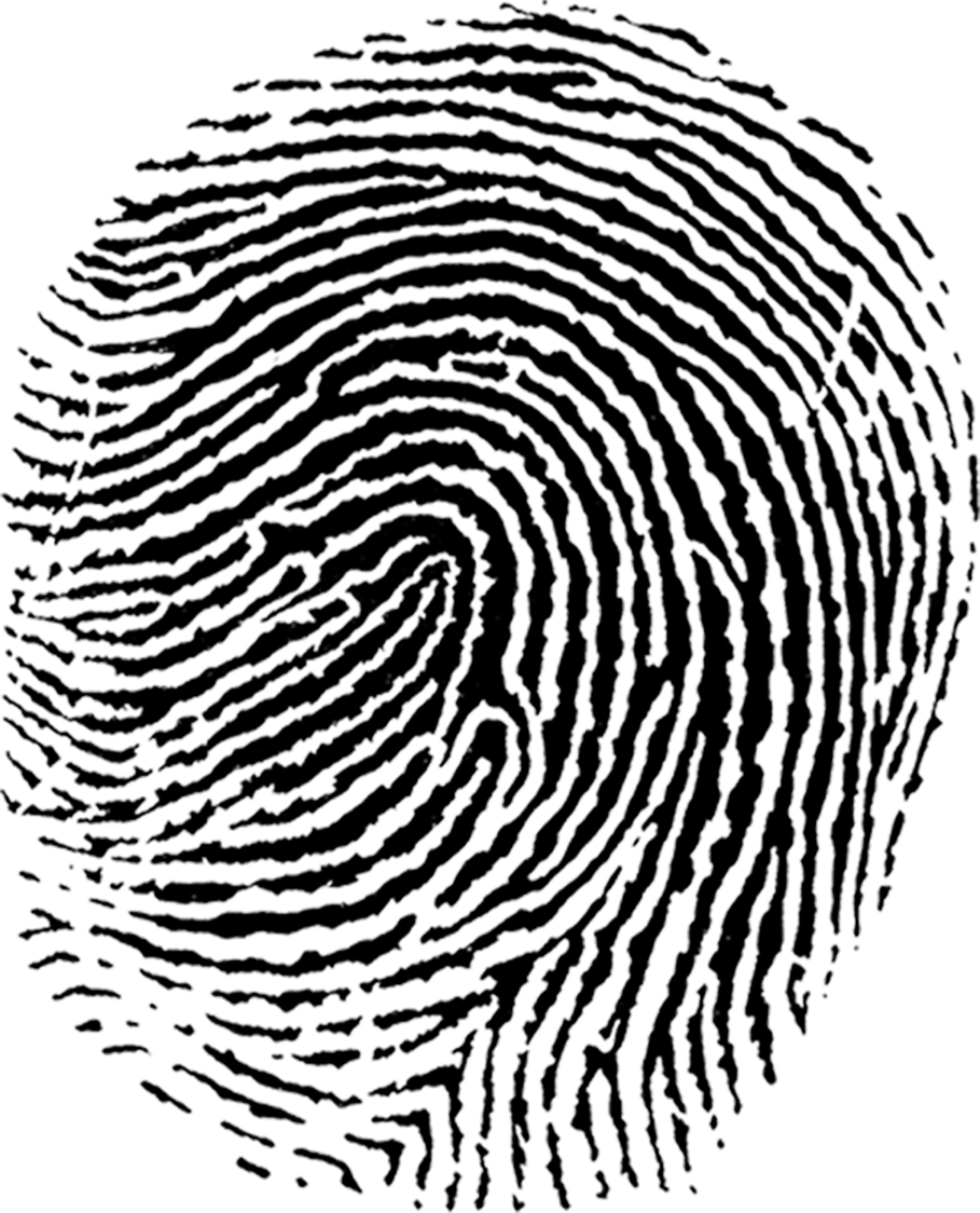 Download Fingerprint - Full Size PNG Image - PNGkit
