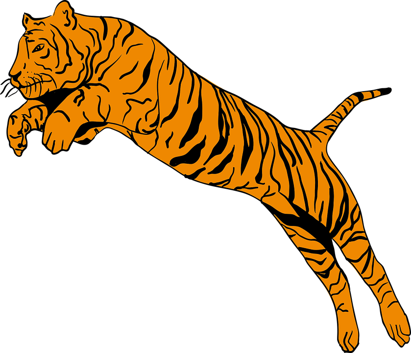 Download Free Jumping Tiger Png - Tiger Jump Clipart Png - Full Size ...