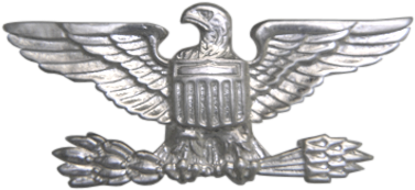 Download Colonel Army Eagle - Full Size PNG Image - PNGkit