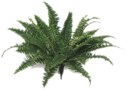 Download Source - Dismagazine - Com - Nyse:lvs - Full Size PNG Image ...