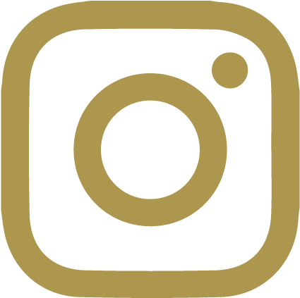 Download Transparent Insta Web Icon - Instagram - PNGkit