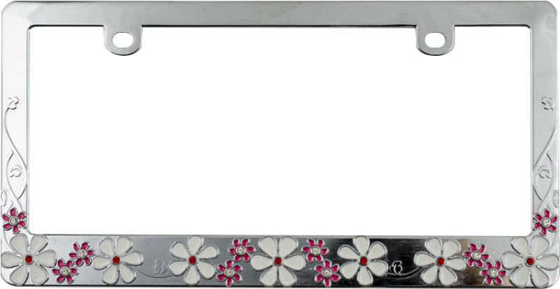 Download Pink Daisy License Plate Frame - Full Size PNG Image - PNGkit