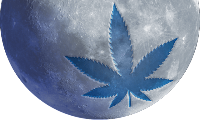 Download Moon - Full Size PNG Image - PNGkit