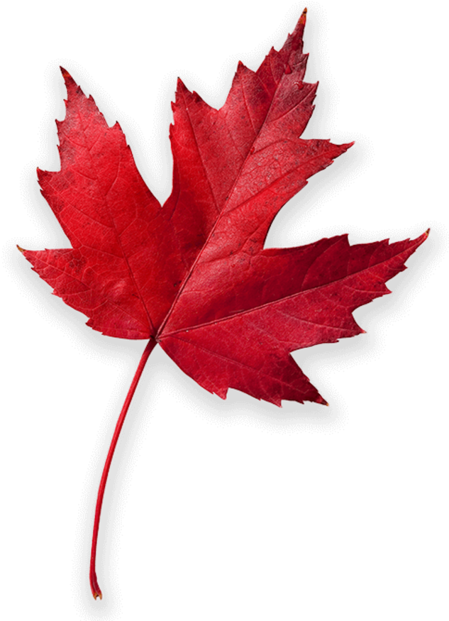 Download Cool Mountain Air Ignites A Colorful Patchwork Of Autumn ...