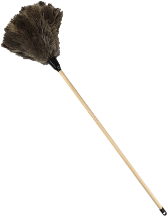 Download Feather Duster - Full Size PNG Image - PNGkit