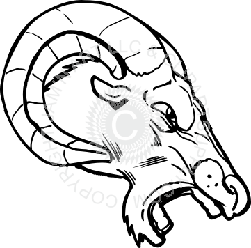 Download Ram Mascot Animal Drawing - Full Size PNG Image - PNGkit