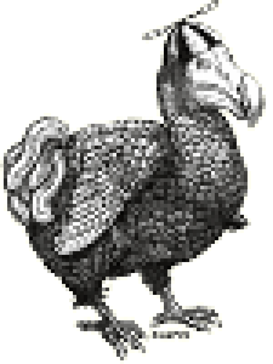 Download Cropped Dodo Small - 2018 - Full Size PNG Image - PNGkit