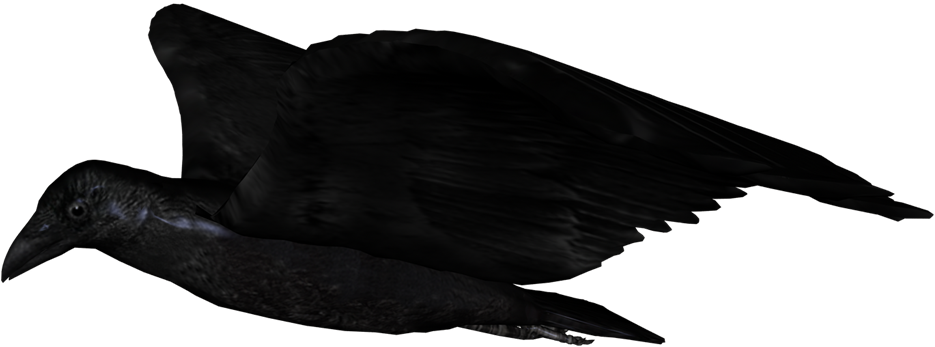 Download Raven Flying Up - Flying Raven Transparent - Full Size PNG ...