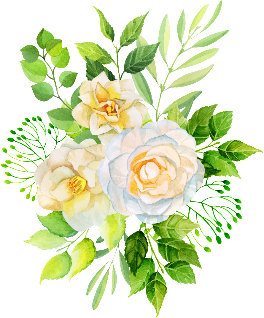 Download Hand Painted Three Realistic Tea Flowers Png Transparent ...