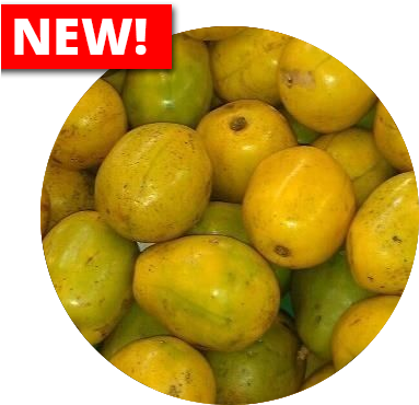 Download June Plum - West Indian Plum - Full Size PNG Image - PNGkit