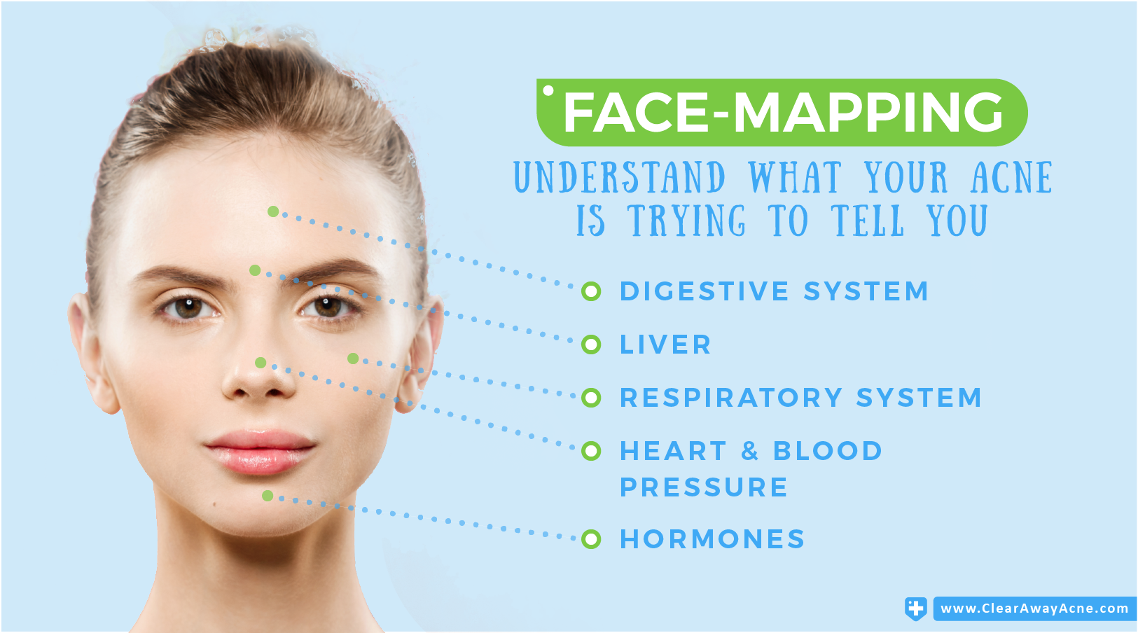Download Acne Face Mapping - Full Size PNG Image - PNGkit