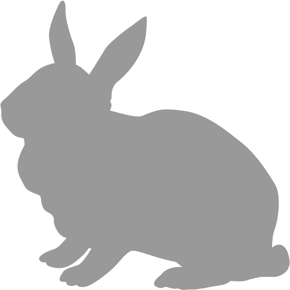 Download Rabbit - Domestic Rabbit - Full Size PNG Image - PNGkit