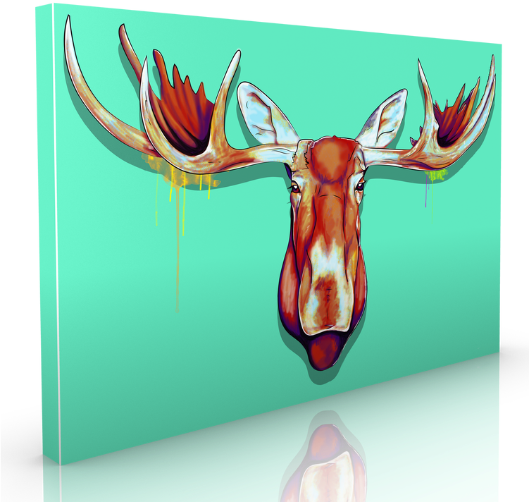 Download Maxwell Dickson ''moose Head'' Graphic Art On Canvas, - Full ...