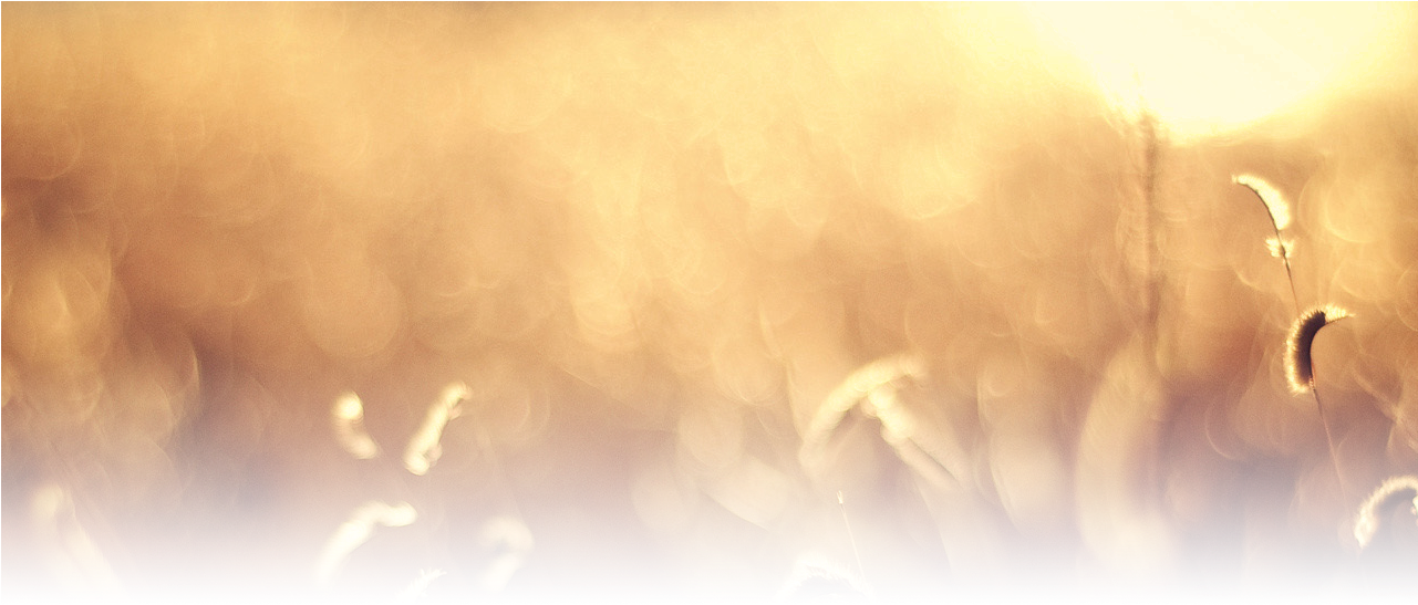 Download Catholic Church Wallpaper Wallpapersafari - Catholic ...