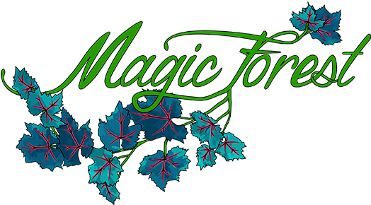 Download Home - Magic Forest Logo - Full Size PNG Image - PNGkit