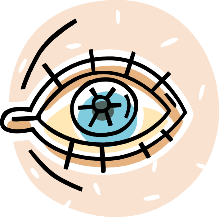 Download Vector Illustration Of Human Eye Eyeball - Clip Art - Full ...