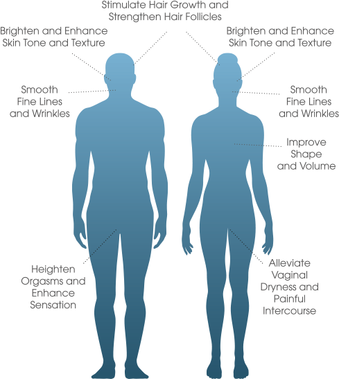 Download Hair Restoration - Human Silhouette Man And Woman - Full Size ...