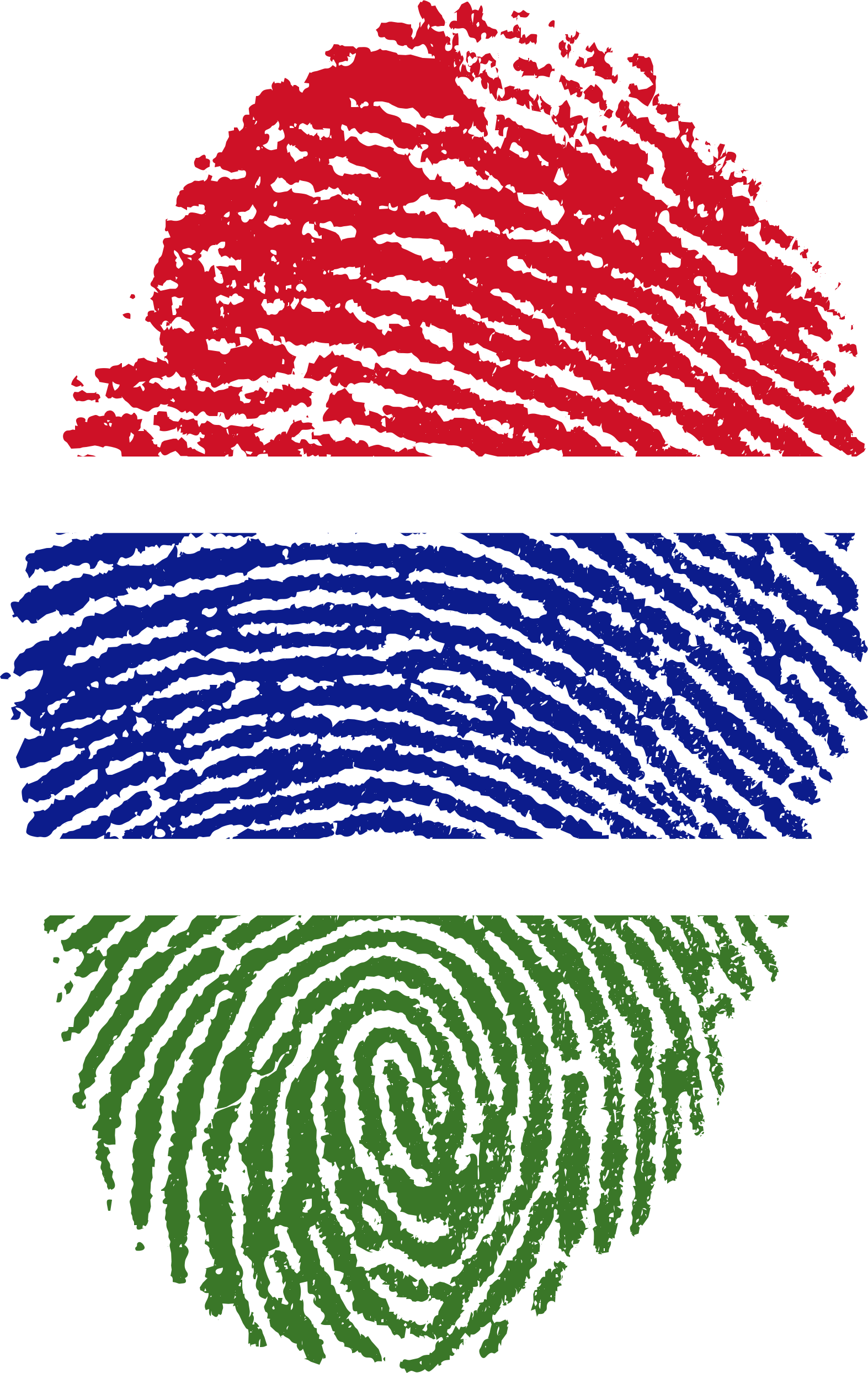 Download Gambia Flag Fingerprint Country 655494 - Fidel Castro & The ...