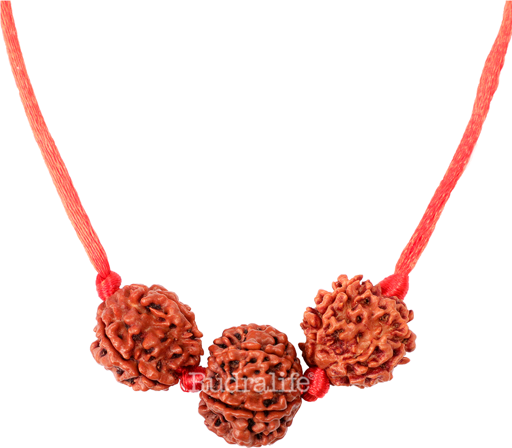 Download Saraswati Bandh A - Png Rudraksh Mala Hd - Full Size PNG Image ...