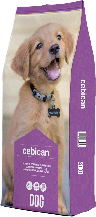 Download Cebican Puppy - Dog - Full Size PNG Image - PNGkit