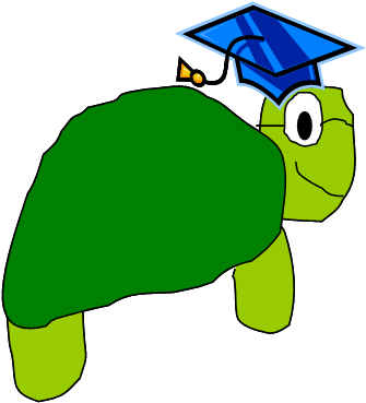 Download Nerd Turtle - Cartoon - Full Size PNG Image - PNGkit
