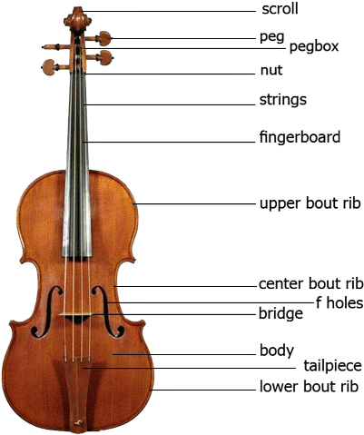 Download Violin Parts - Violin Parts In English - Full Size PNG Image ...
