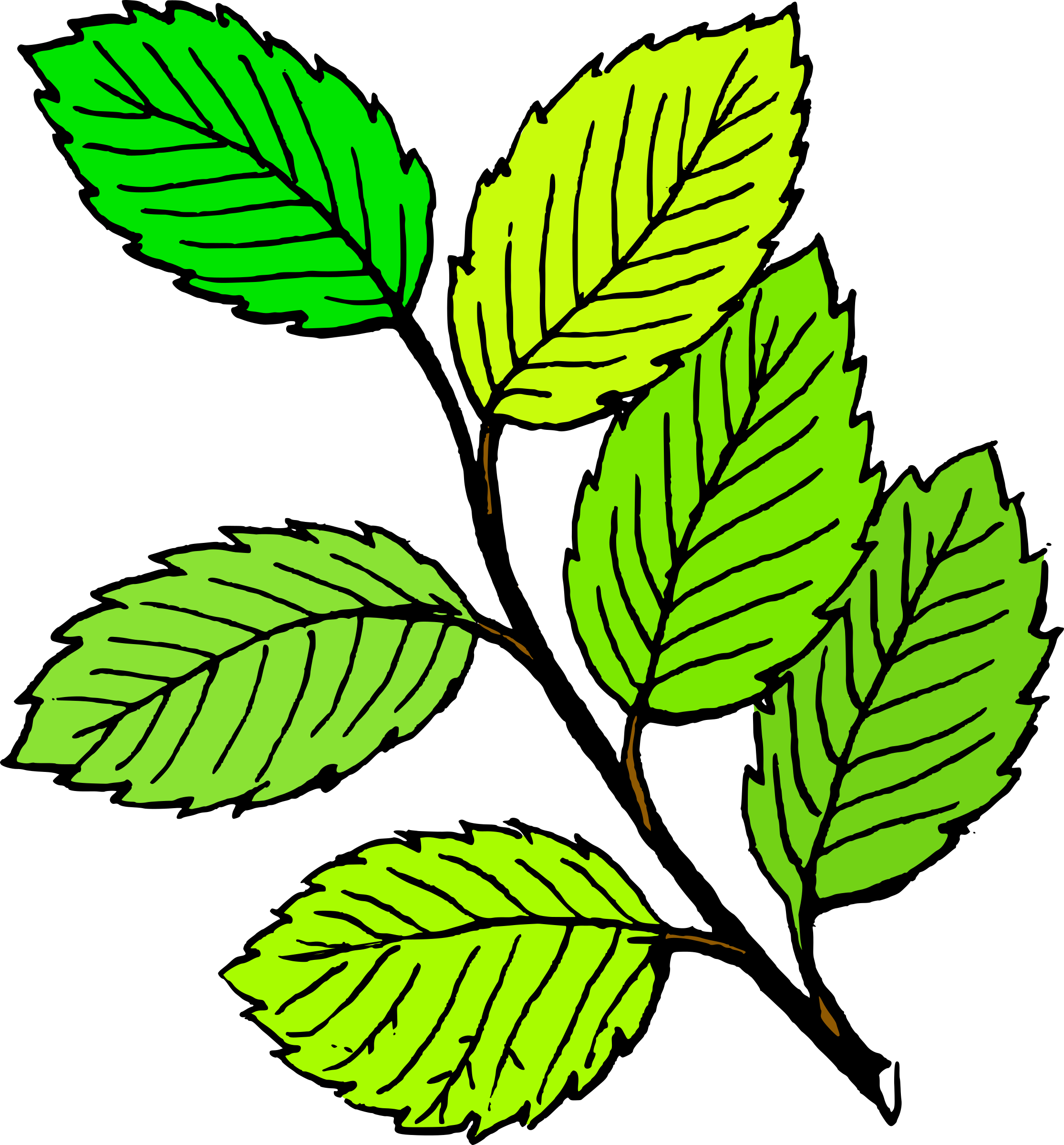 Download Transparent Png Spring Leaf Clipart Image Clipartix - Clip Art ...