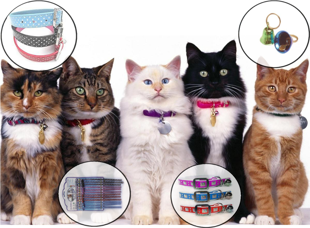 Download Accesorios Para Gatos - Five Kitty Cats In A Row Handbag ...