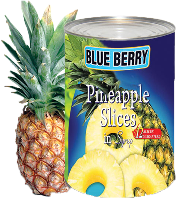 Download Pineapple Slice - Ideal Home Range 16 Count Boston ...