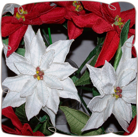 Download 3d Poinsettias - Christmas Embroidered Machine Decorations ...
