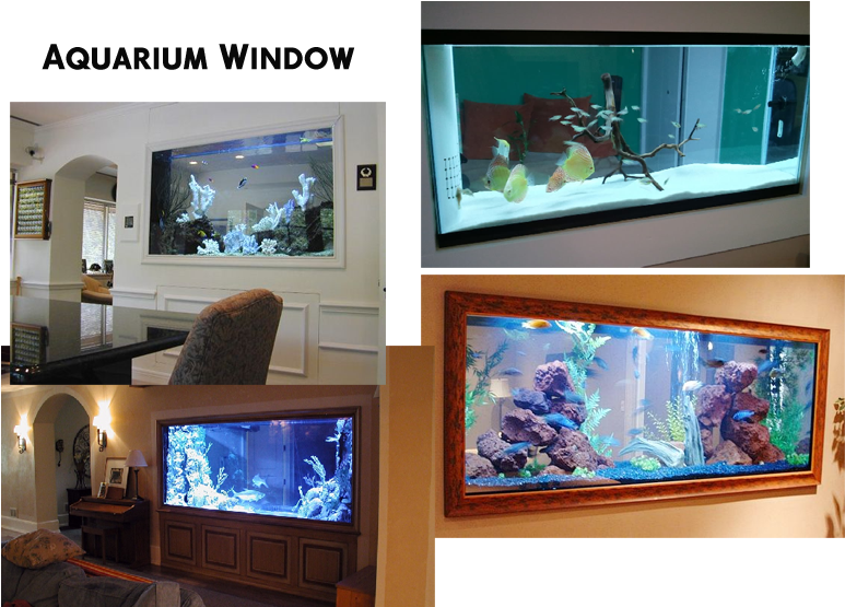 Download Let Us Fill The Aquarium Window With Our Own Fish Or - Built ...