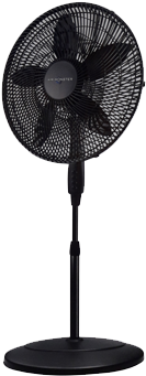 Download Fans - Full Size PNG Image - PNGkit