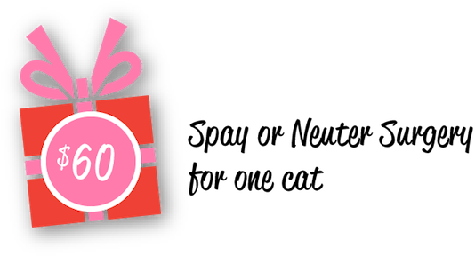 Download 60 - Stop Sign - Full Size PNG Image - PNGkit