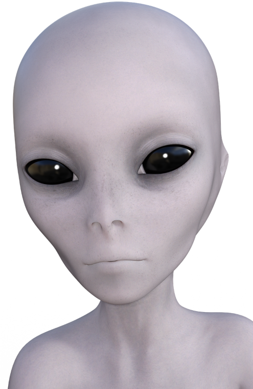 Download Alien - Say Hello To The Grey Alien Journal (lined Notebook ...