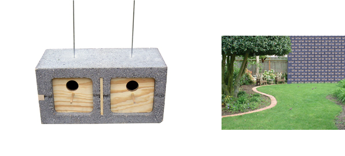 Download Backyard - Full Size PNG Image - PNGkit