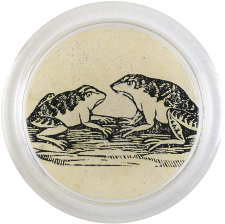 Download Iconic - Frog - African Elephant - Full Size PNG Image - PNGkit